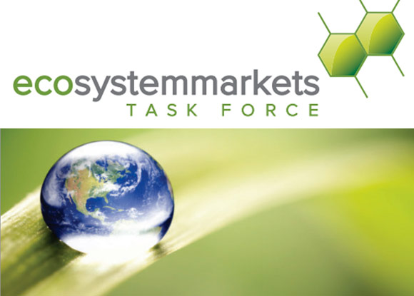 Ecosystem Markets Task Force publishes its final report - Natural ...