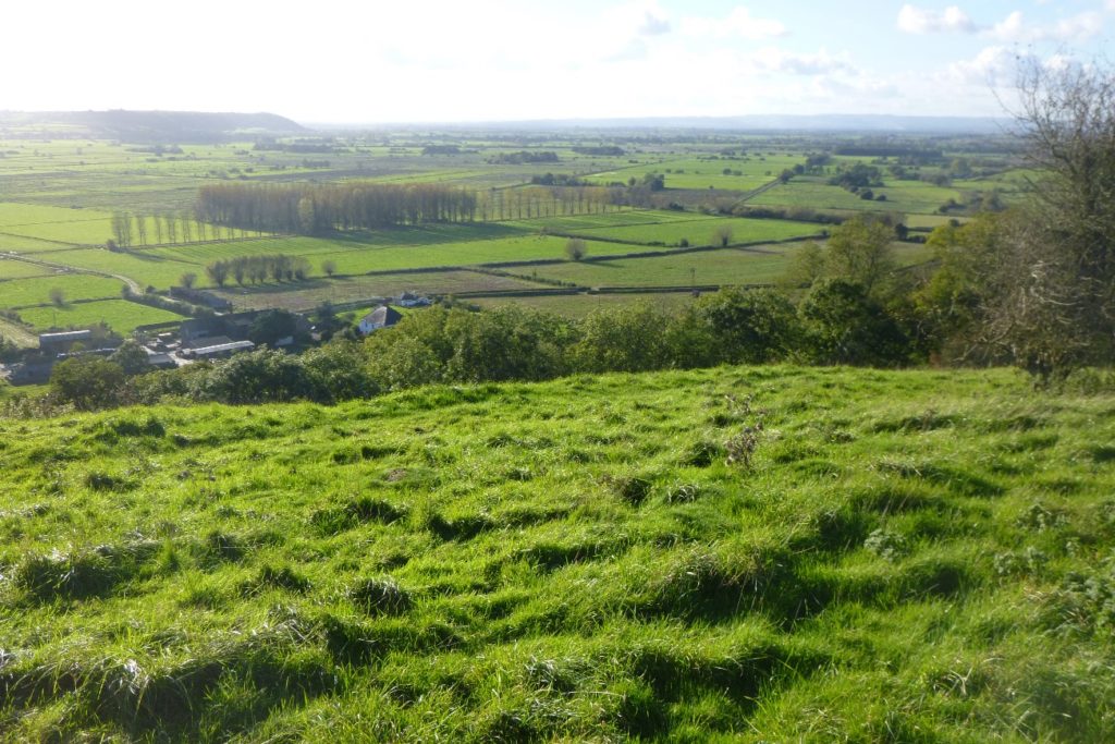 Valuing the nature of the Somerset Levels and Moors for the future ...